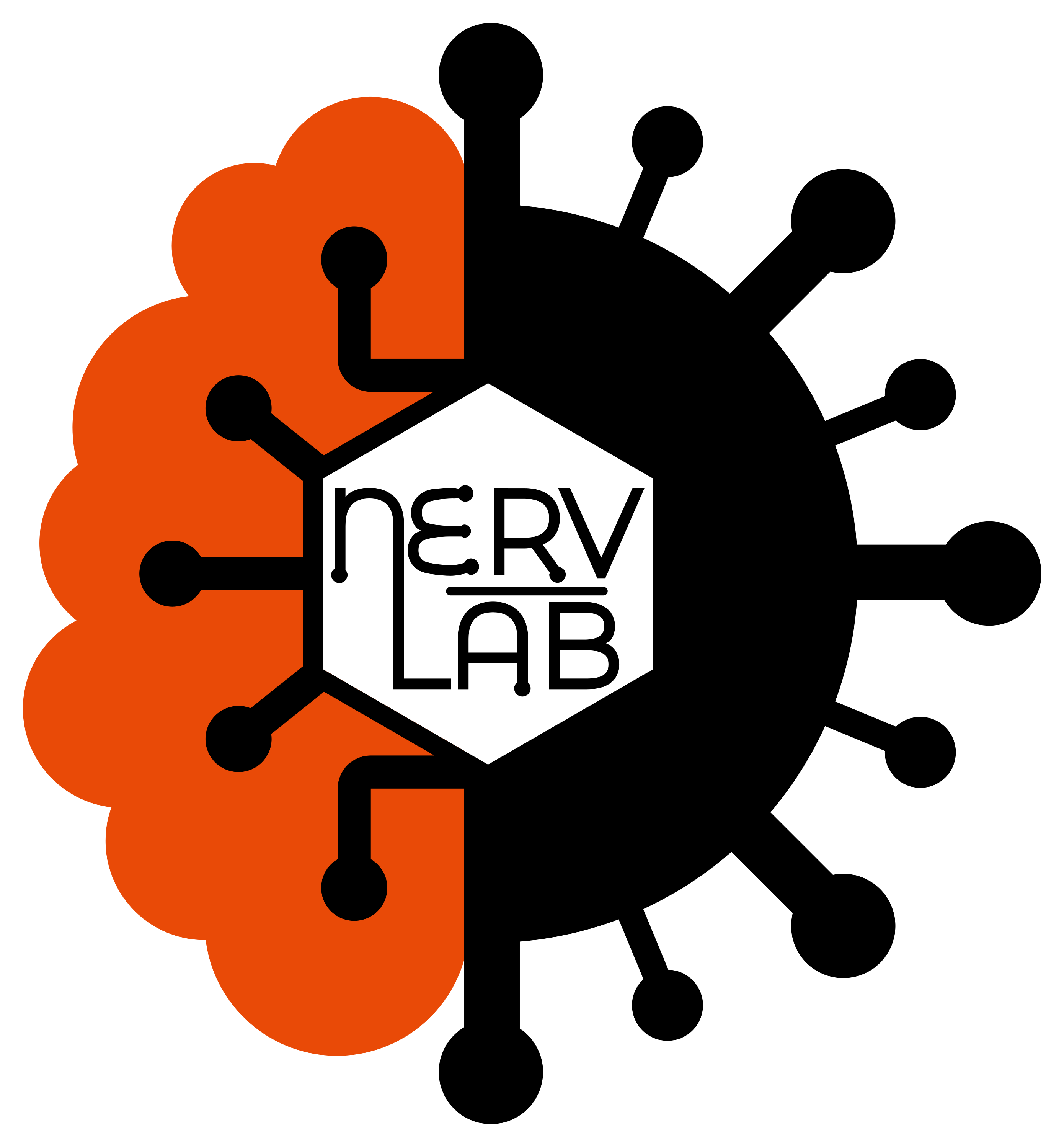 Introducing the NERVLAB | NERVLAB